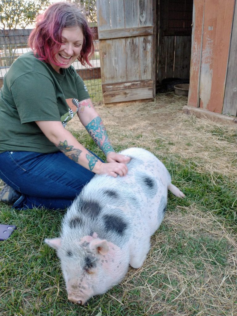 Ranch Hands Rescue Treats Complex Trauma in Animals and Humans – Spruce ...